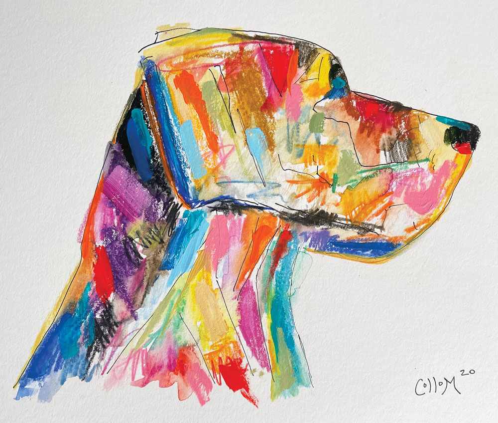 Cover Artist Tim Collom - Inside Sacramento