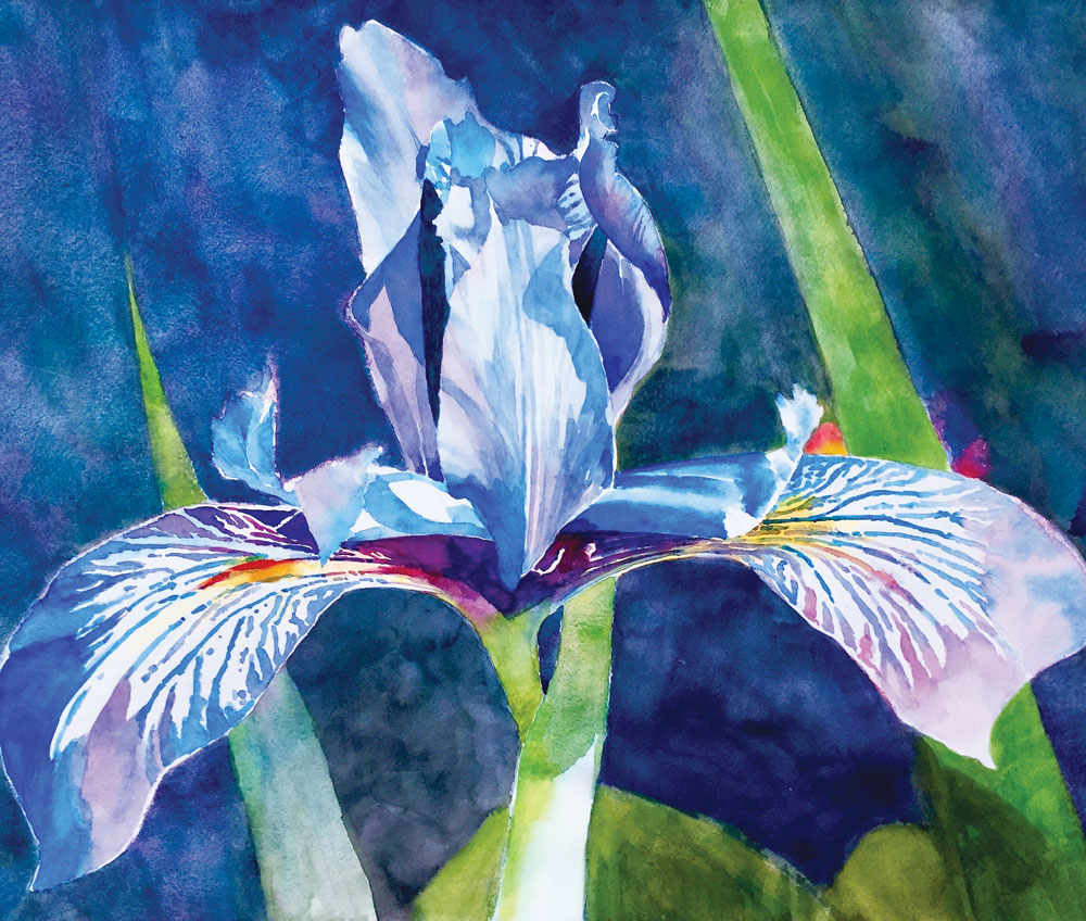 Cover Artist Robert Dvorak - Inside Sacramento