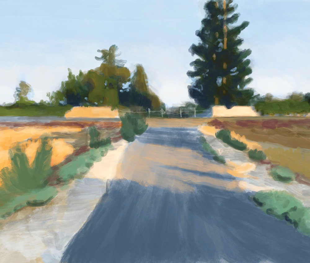 Cover Artist Jessica Stanfill - Inside Sacramento