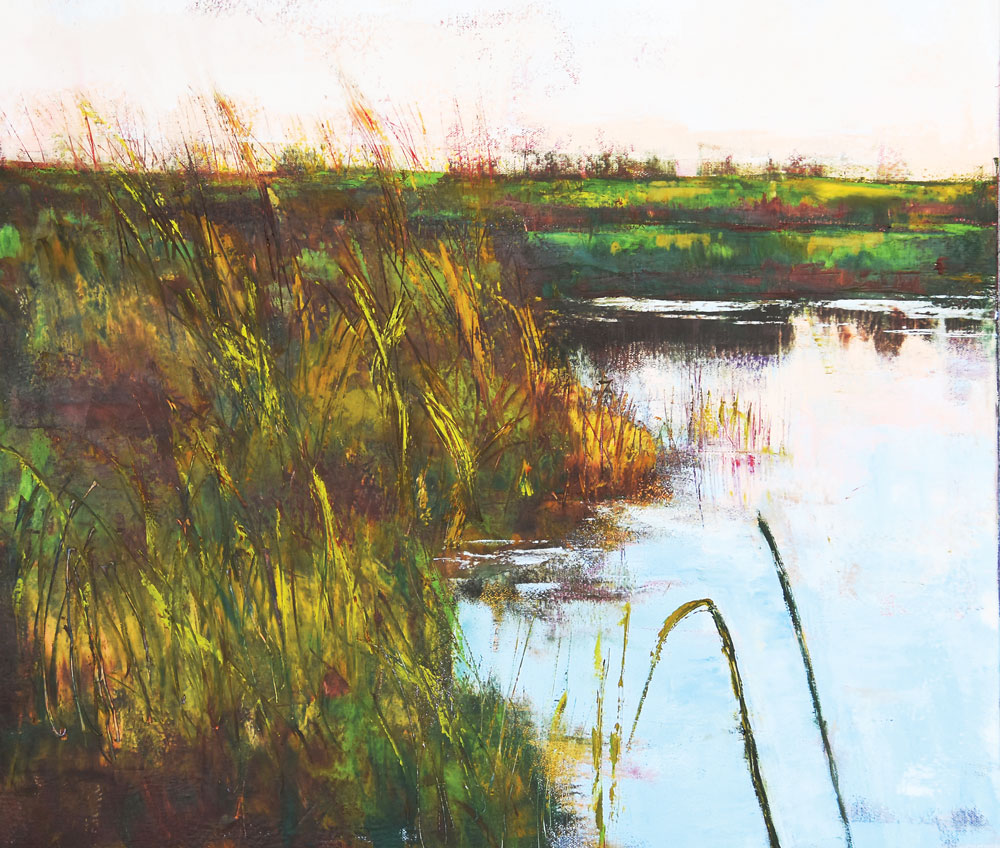 Cover Artist Judy Knott - Inside Sacramento