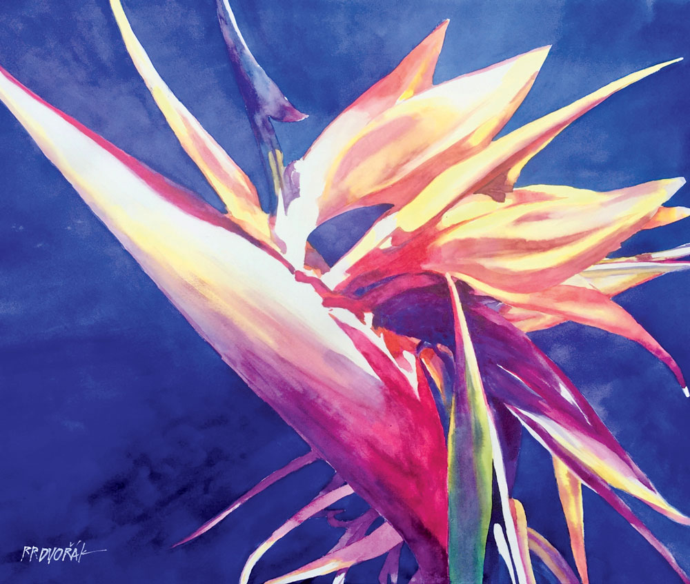 Cover Artist Robert Dvorak - Inside Sacramento