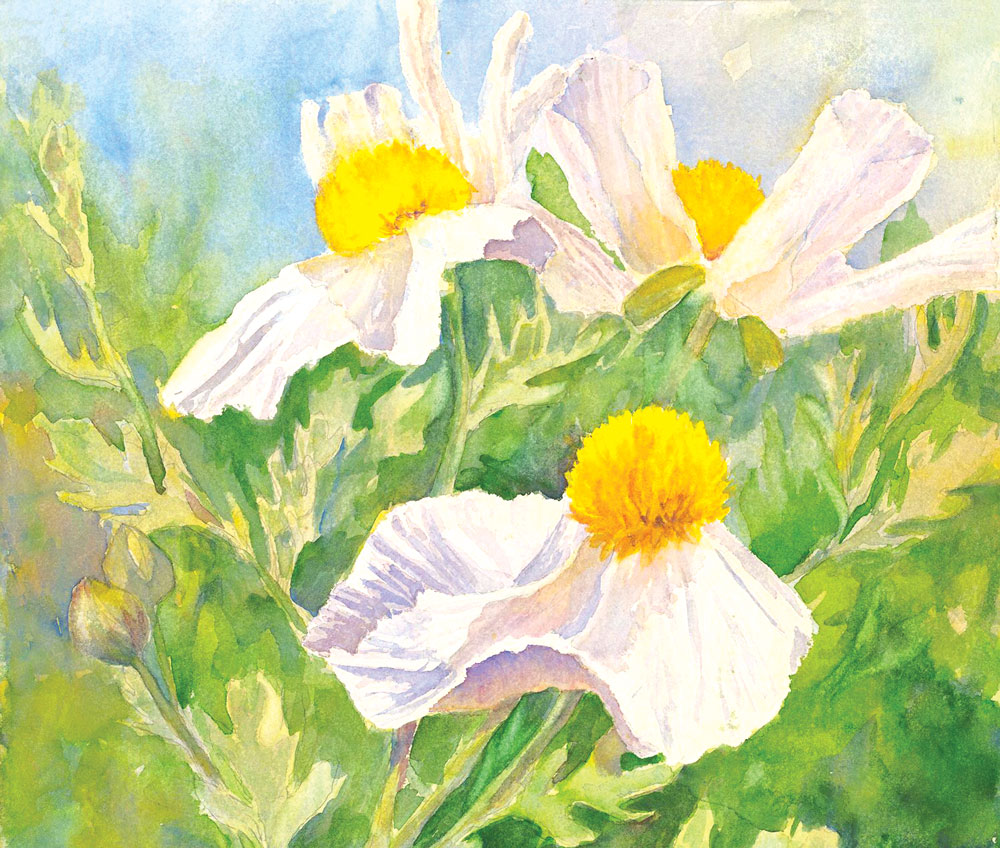 Cover Artist Ruth Holton-Hodson - Inside Sacramento