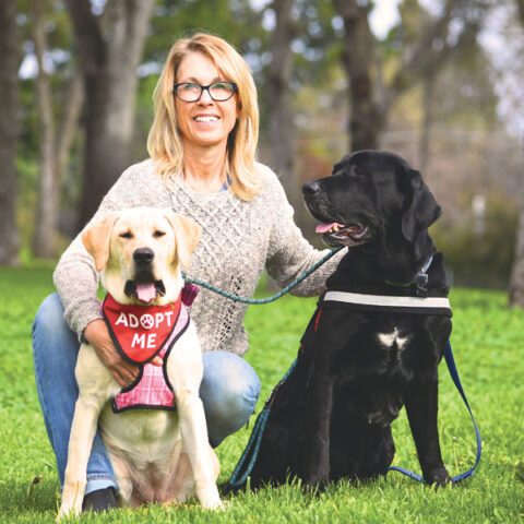Labrador Love - Inside Sacramento