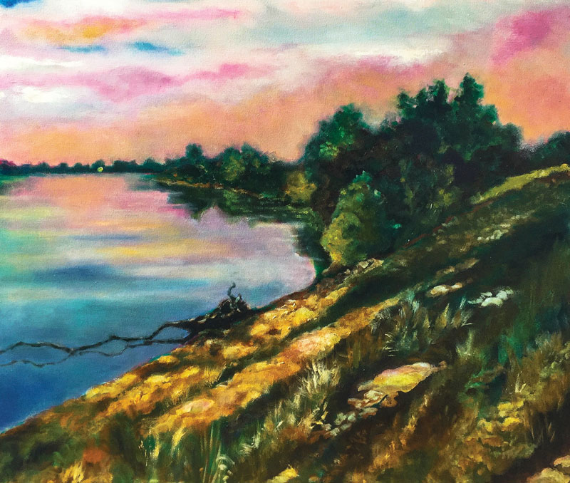 Cover Artist Patrick Cosgrove - Inside Sacramento